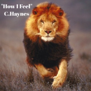 C.Haynes songs MP3 download: C.Haynes new albums & new songs with ...