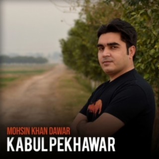 Mohsin Khan Dawar Songs MP3 Download, New Songs & Albums | Boomplay