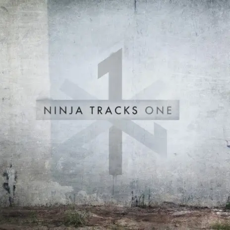 NINJA TRACKS Songs MP3 Download, New Songs & Albums | Boomplay