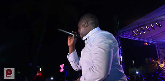 Perform At The 2015 Lagos Music Festival | Boomplay