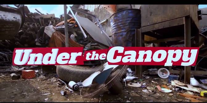 Under The Canopy | Boomplay